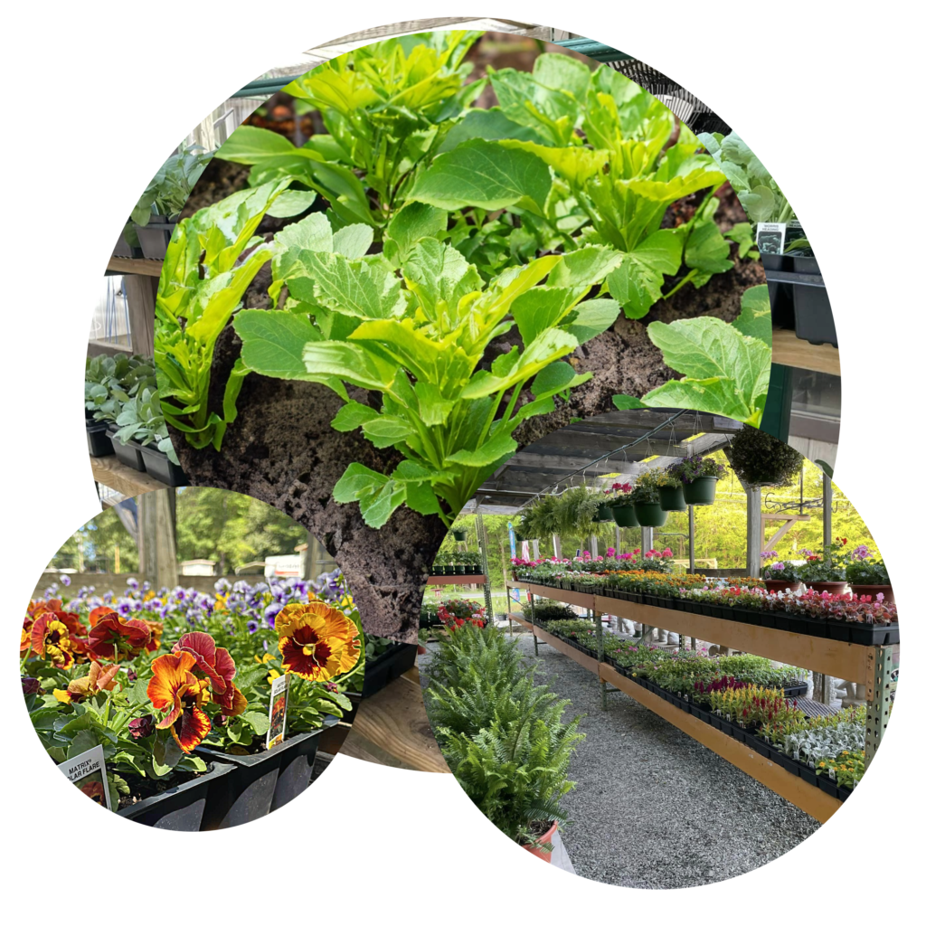 Products & Services – Wood's Farm and Garden